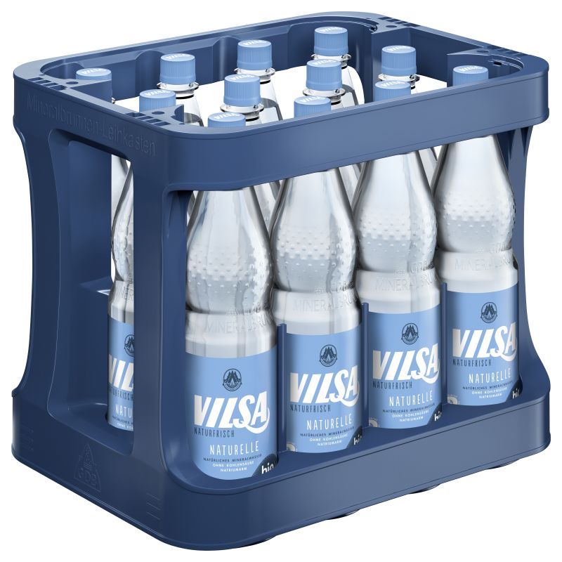 Vilsa