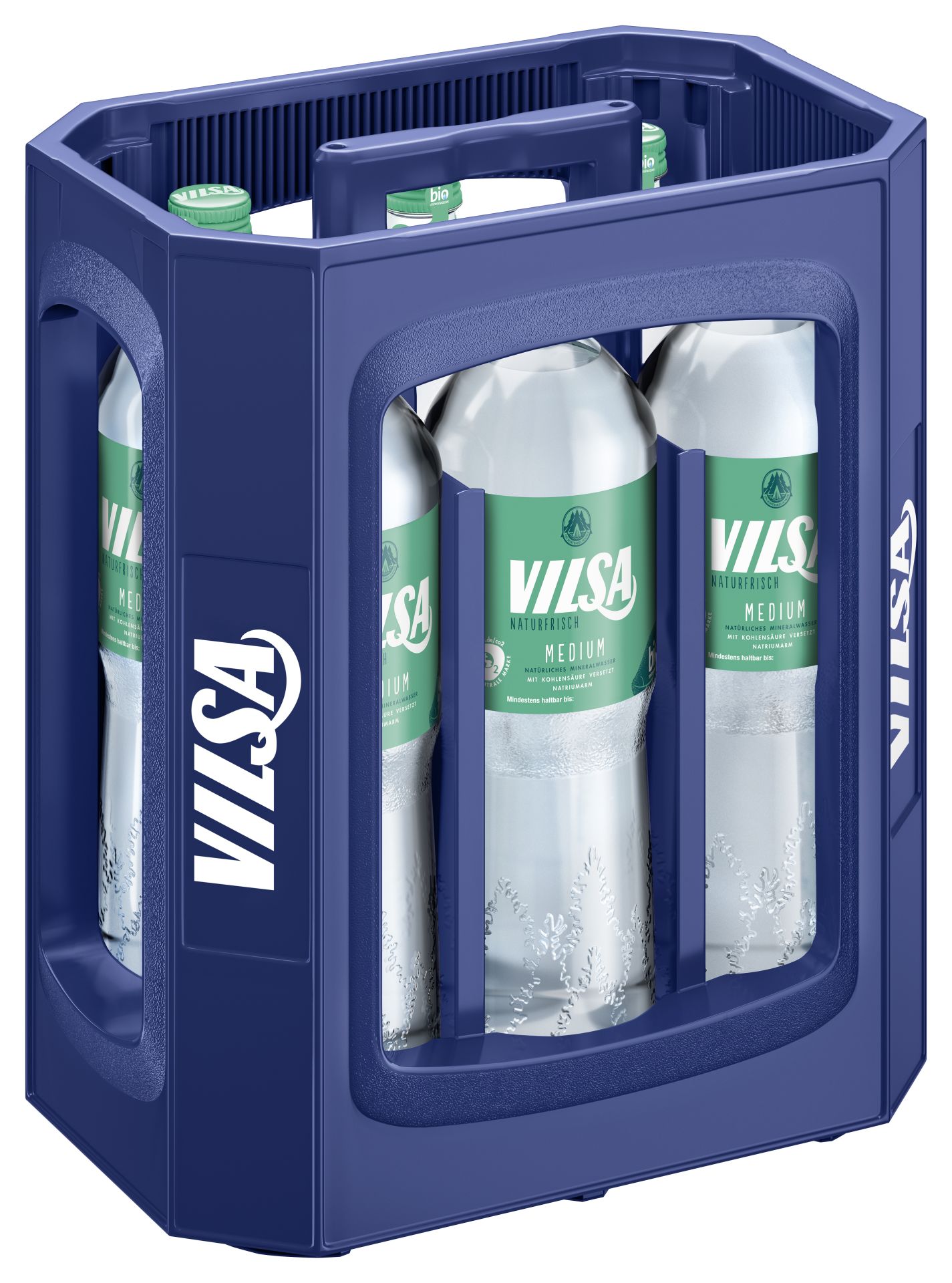 Vilsa