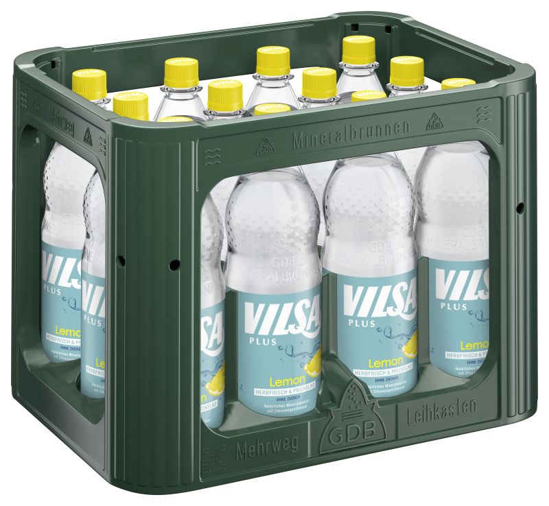 Vilsa