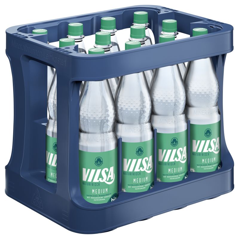 Vilsa